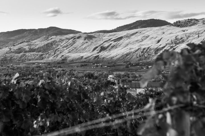 History - Phantom Creek Estates